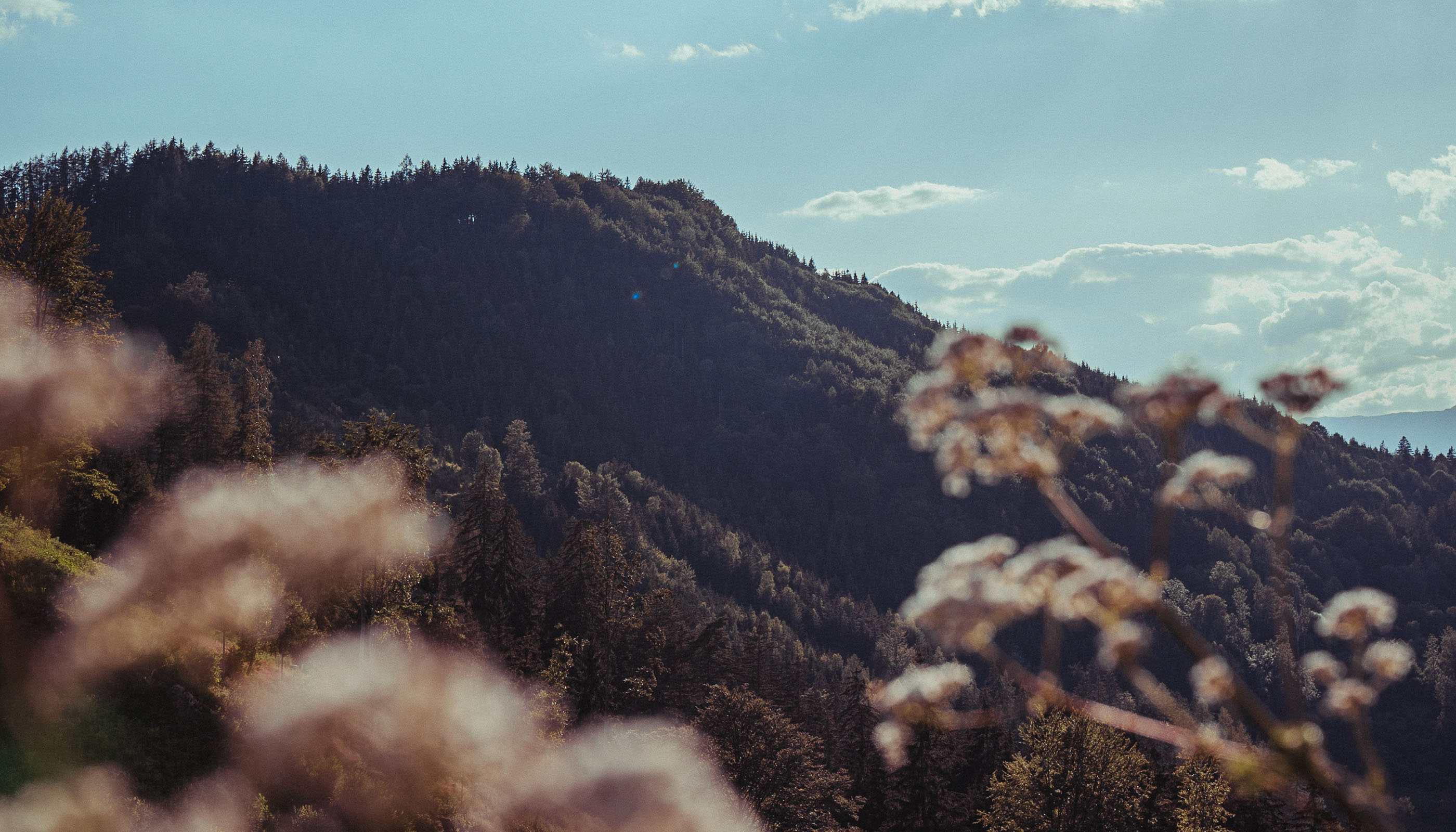 Around the world in 24 races: Austria - Aston Martin F1 Team